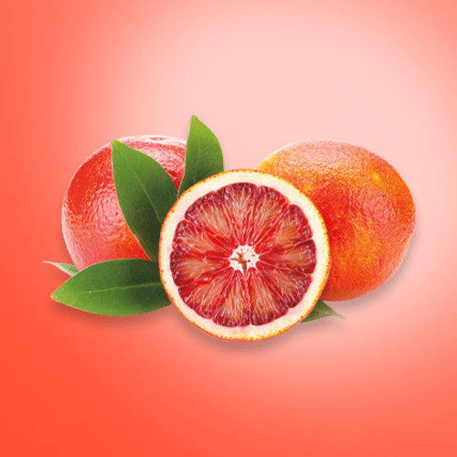 Blood Orange Concentrate Case