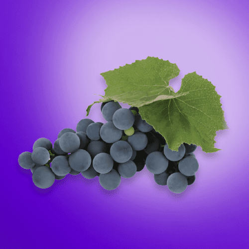 Concord Grape Fruit Concentrate - 50 gal or 5 gal