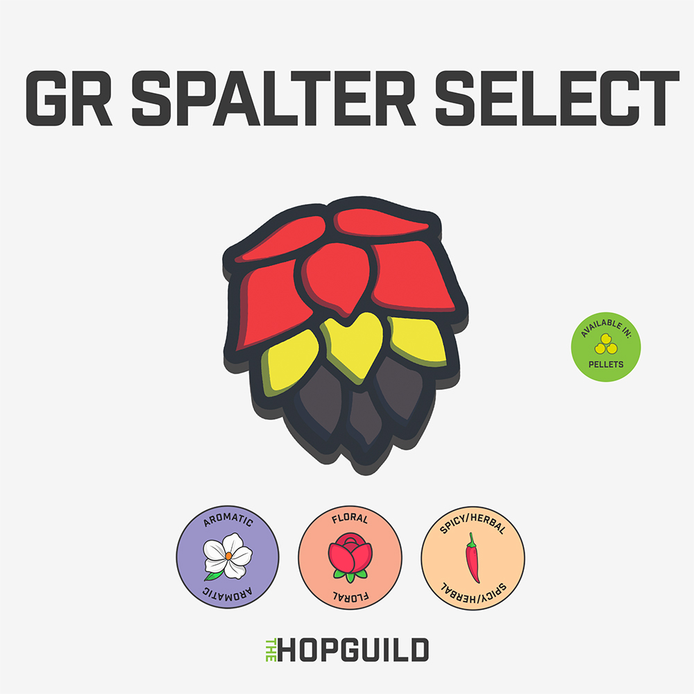 GR Spalter Select – Herbal, Floral, and Mild Spice Aromas