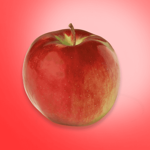 Apple Fruit Concentrate - The Fruit Guild