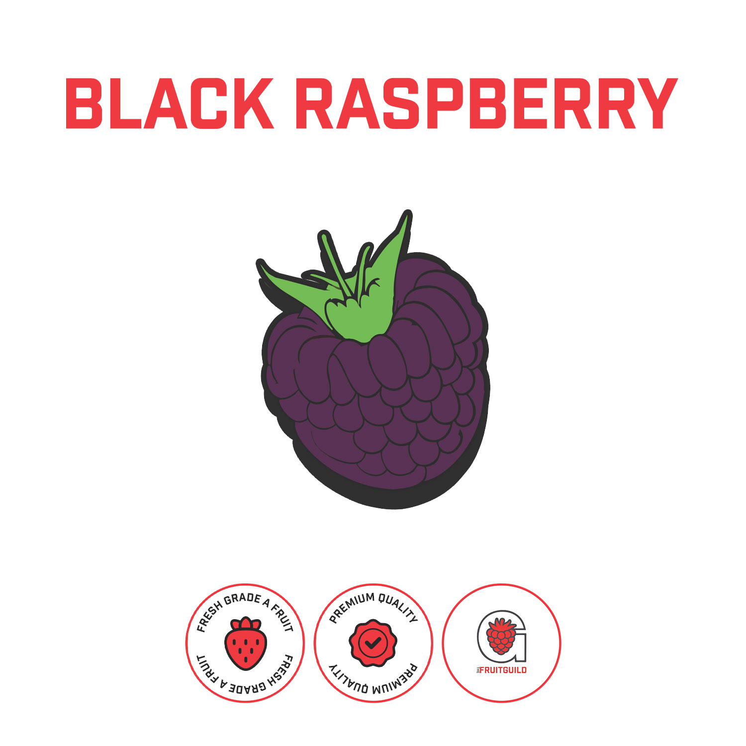 Black Raspberry Puree - Case