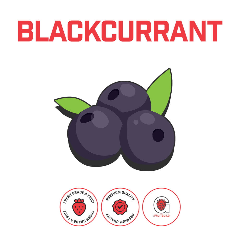 Black Currant Aseptic Puree - The Fruit Guild