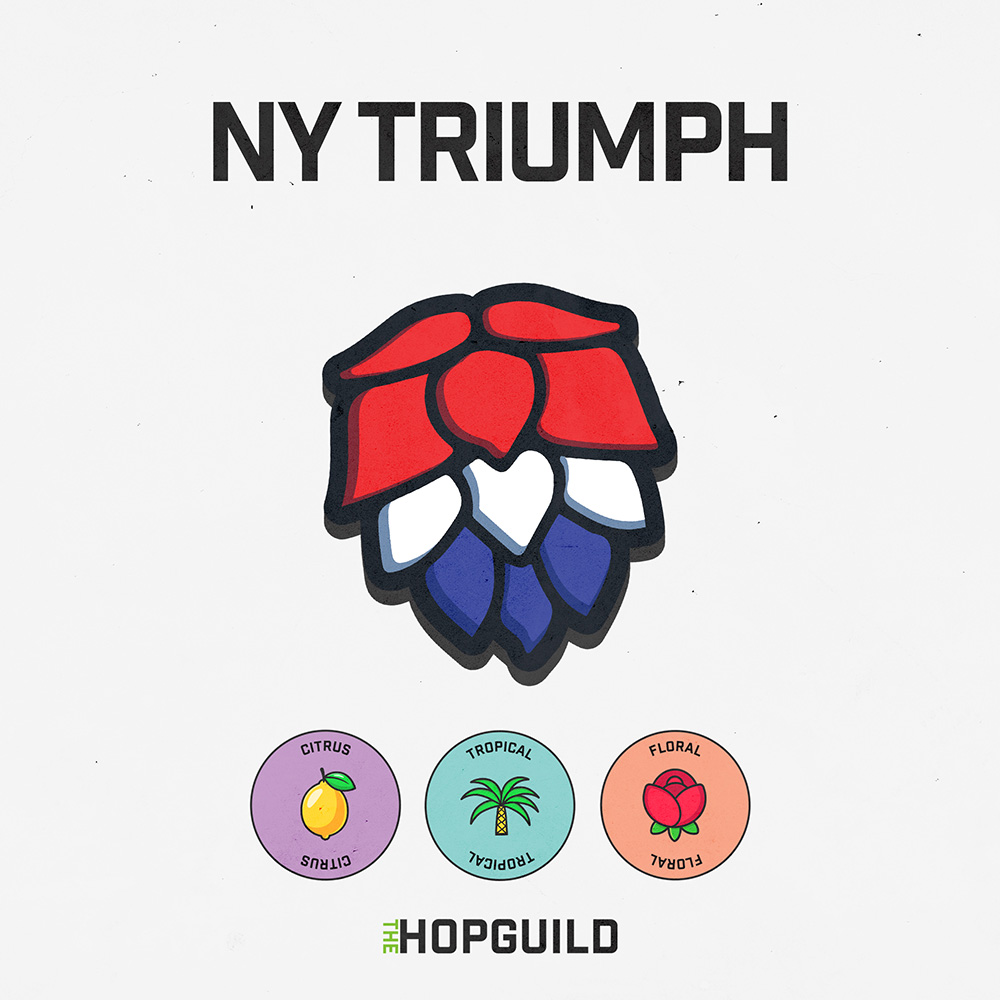 NY Triumph Hops – Bright Citrus, Stone Fruit & Spice Flavor